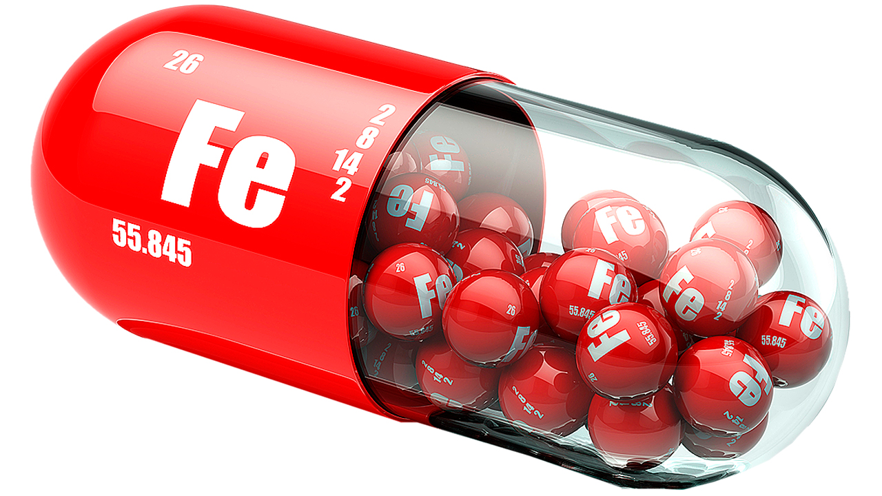 El hierro en la dieta • Amparo Tomás Lorenzo. Microbiota intestinal.